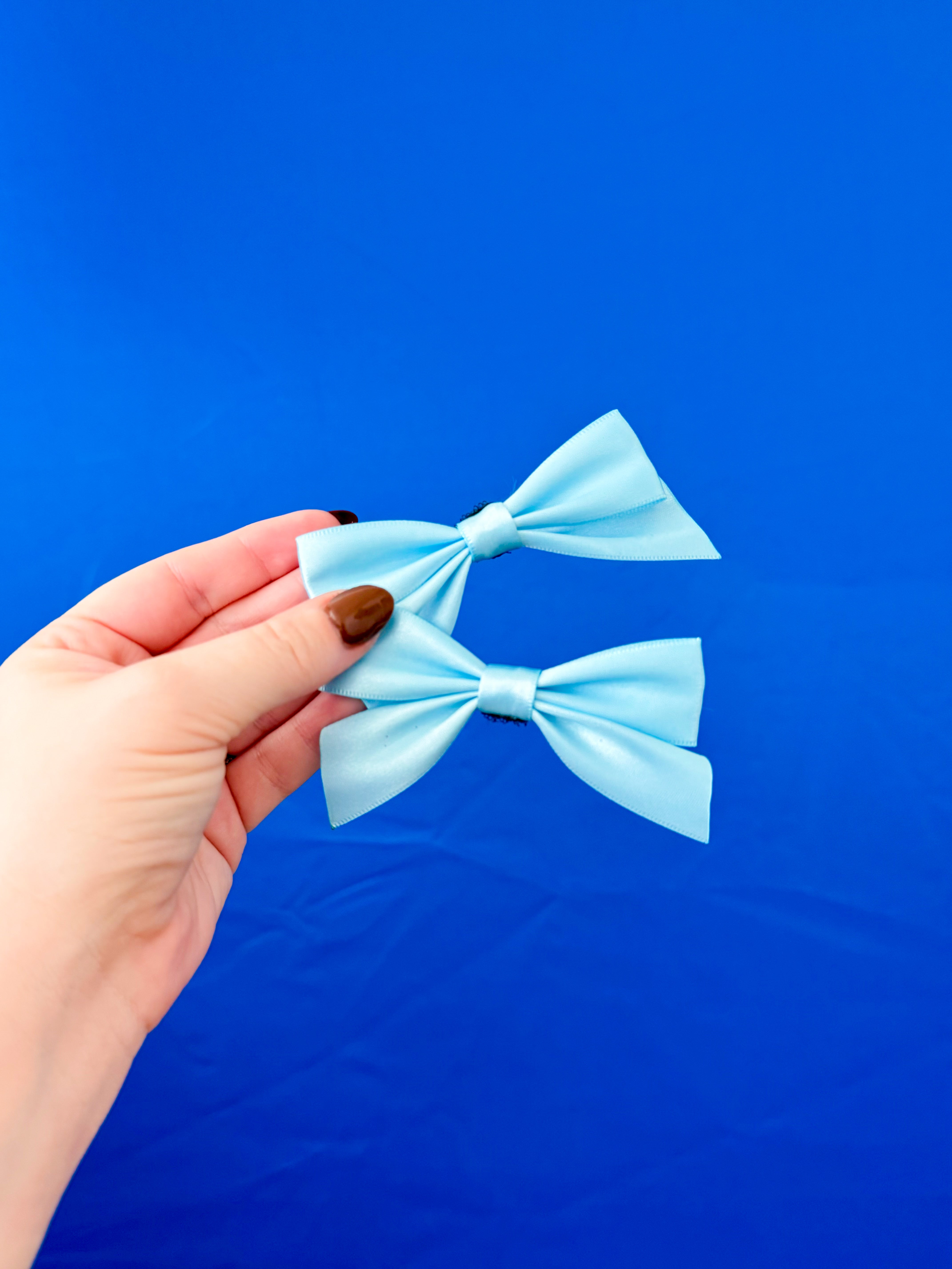 Additional Set of Light Blue Bows – Park Hopper Design